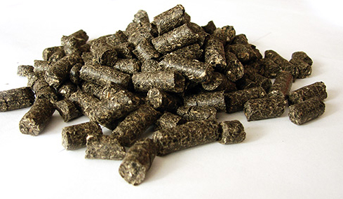 Pellets - Timberwood Actions Timber Wood Manufacturer in Bulgaria ...