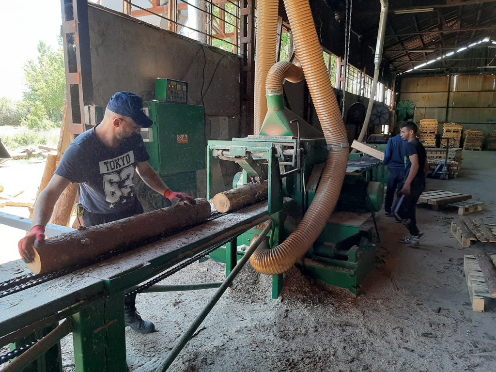 Timber sawmill - Timberwood Actions Timber Wood Manufacturer in ...