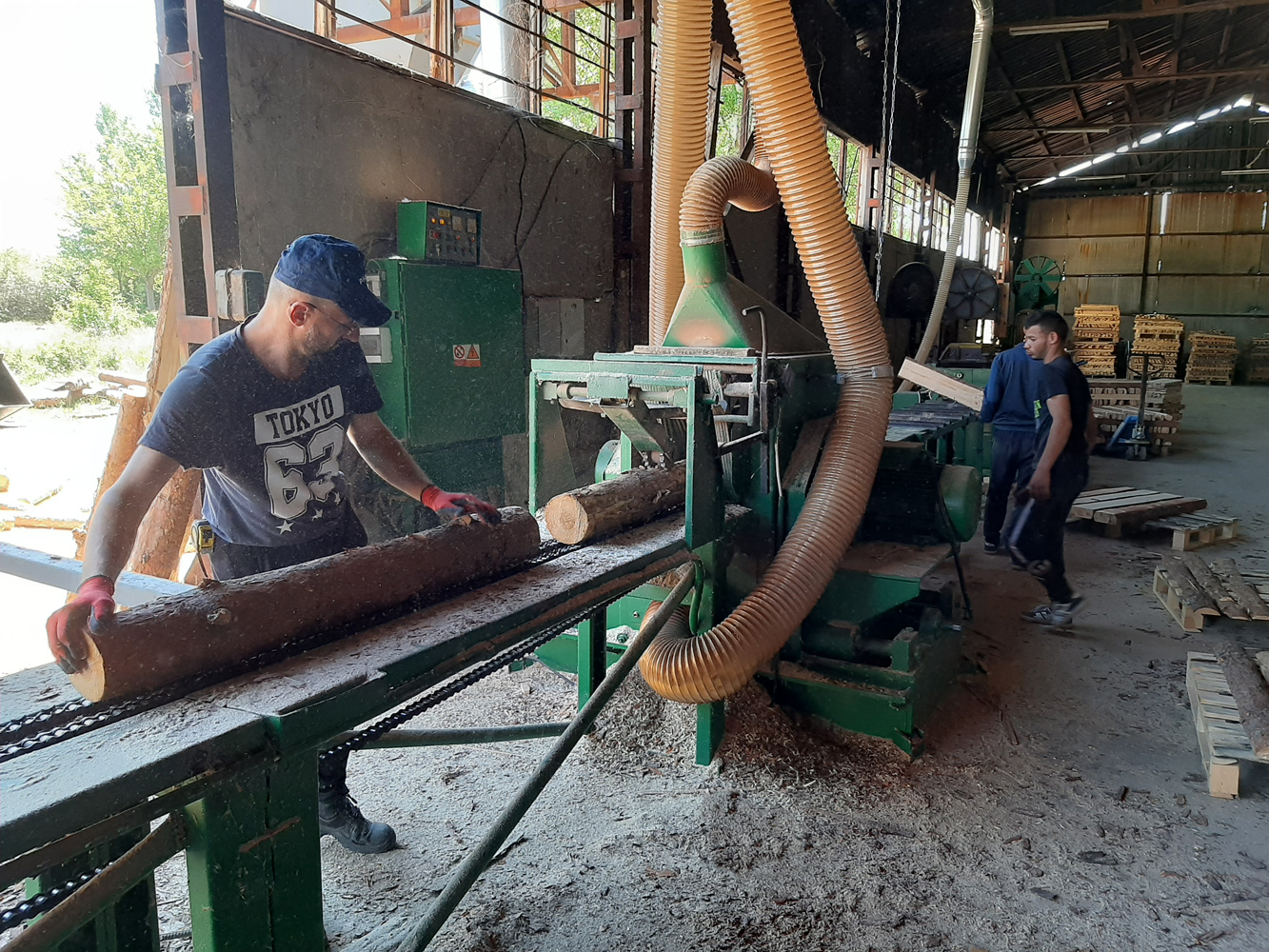 Timber sawmill - Timberwood Actions Timber Wood Manufacturer in ...